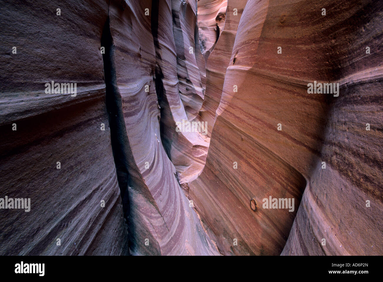 Zebra Slot Canyon detail Hole In The Rock Road region Grand Staircase ...