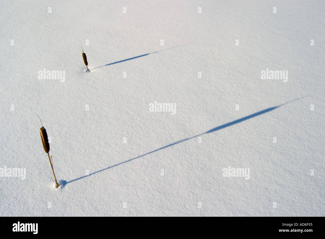 Composition diagonals hi-res stock photography and images - Alamy