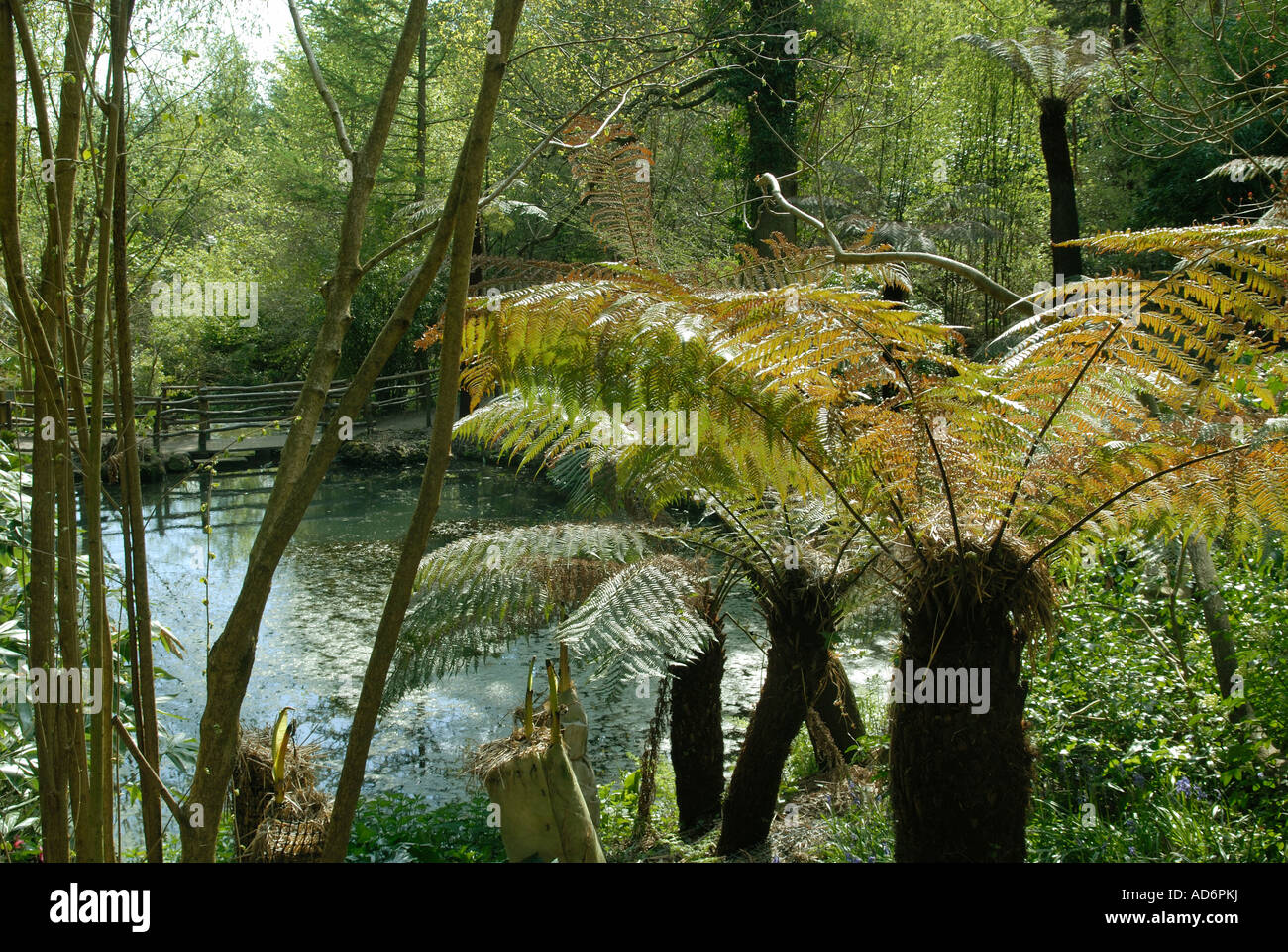 Enchanted forest groombridge place hi-res stock photography and images ...