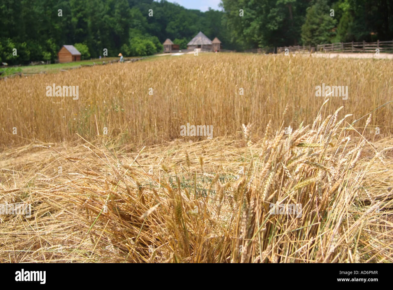 George Washington Farm High Resolution Stock Photography and Images - Alamy