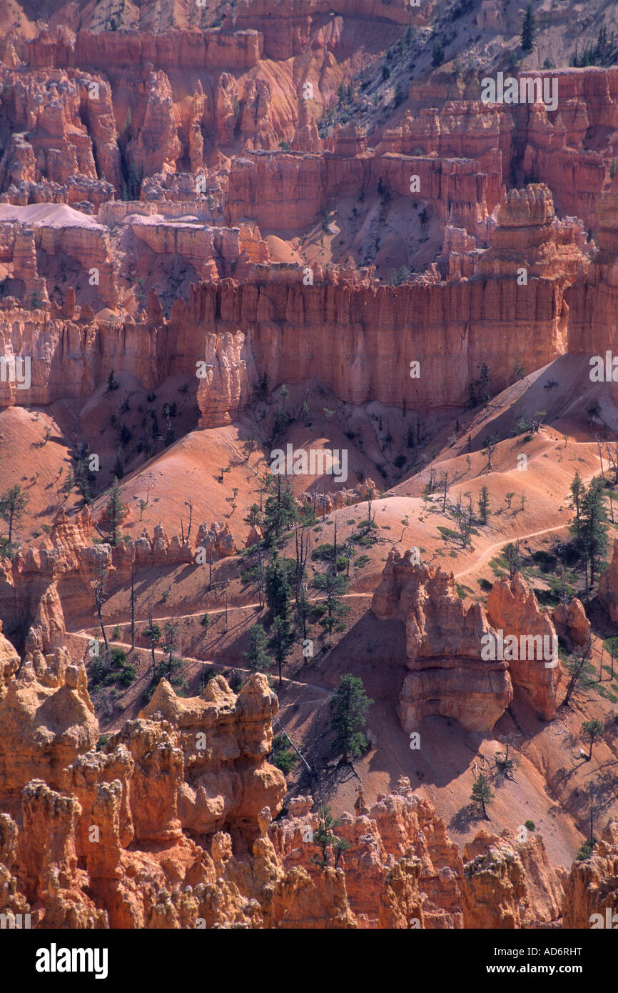 Hiking trail in the Hoodoos Bryce Canyon National Park UTAH Stock Photo ...