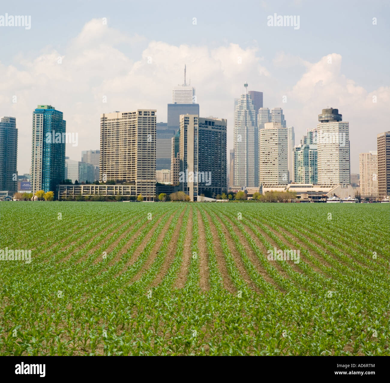 City meets country hi-res stock photography and images - Alamy