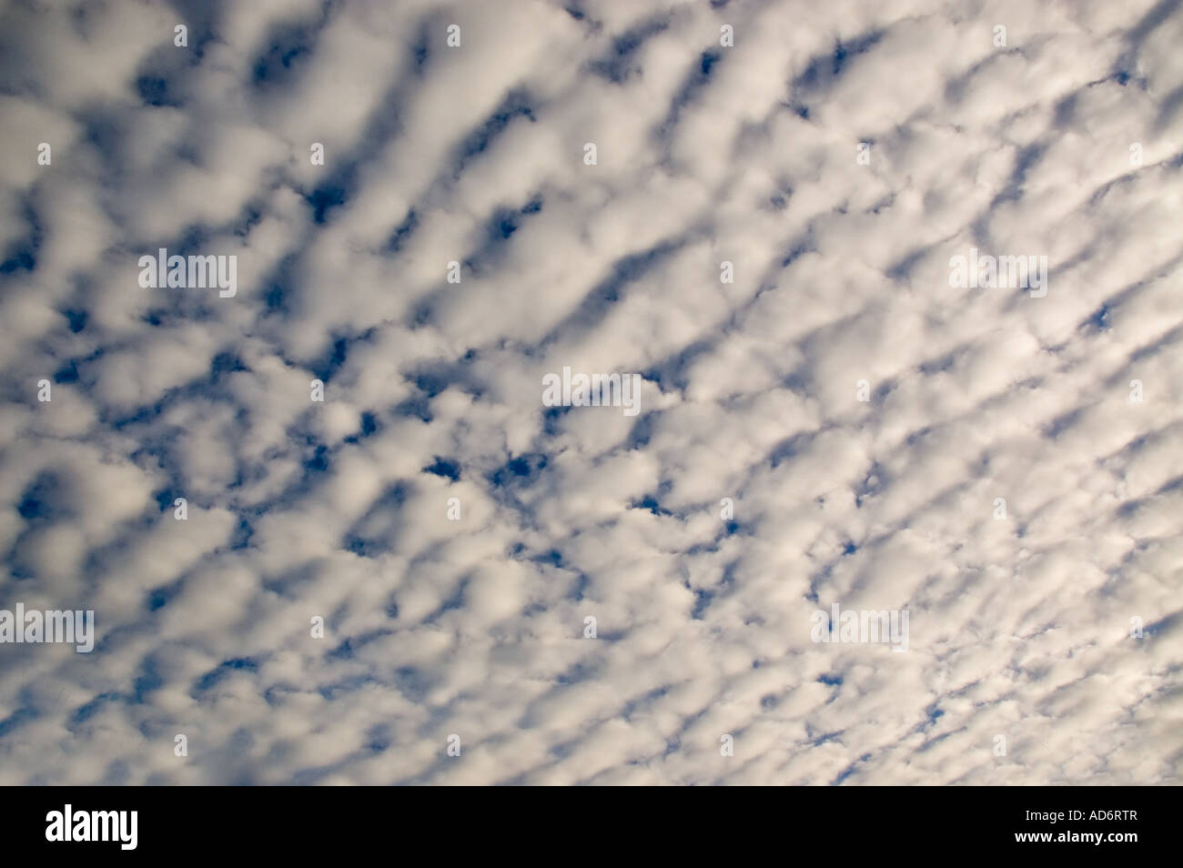 White puffy cloud mass hi-res stock photography and images - Alamy