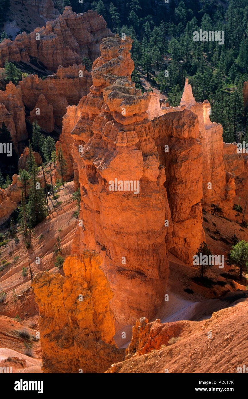Morning light on Hoodoos from Sunset Point Bryce Canyon National Park ...