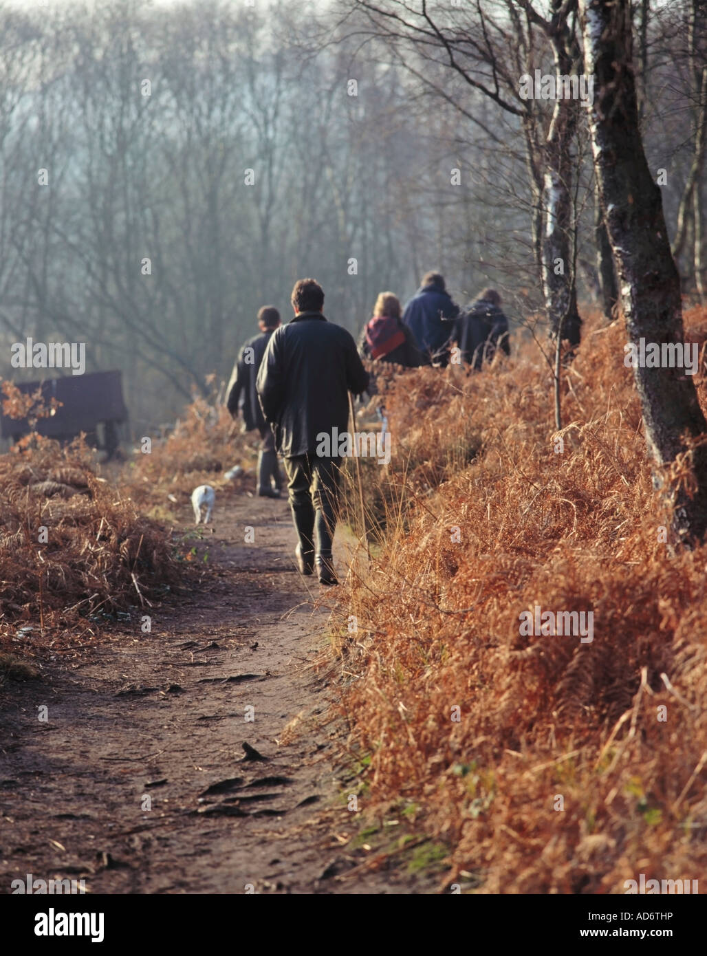 Suffolk Country Walks East Anglia England United Kingdom Stock Photo ...