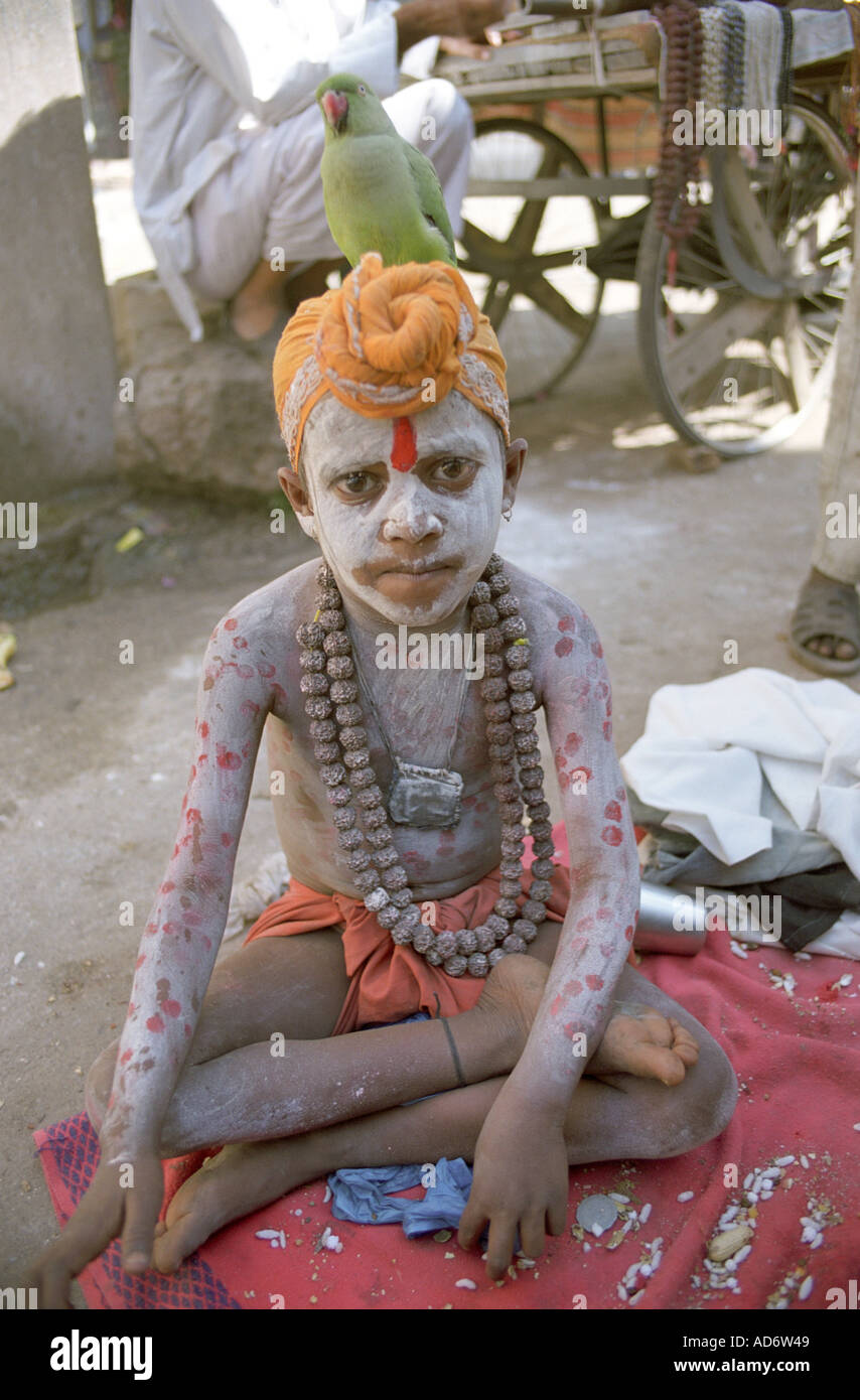 Sadhu with parrot hi-res stock photography and images - Alamy
