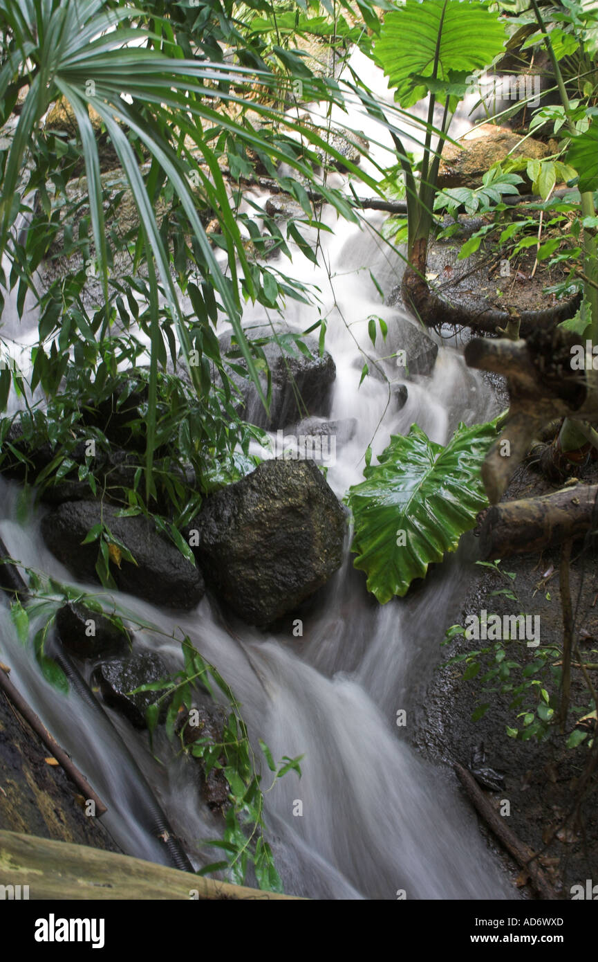 Eden Waterfall, Humid Biome, 2006 Stock Photo - Alamy