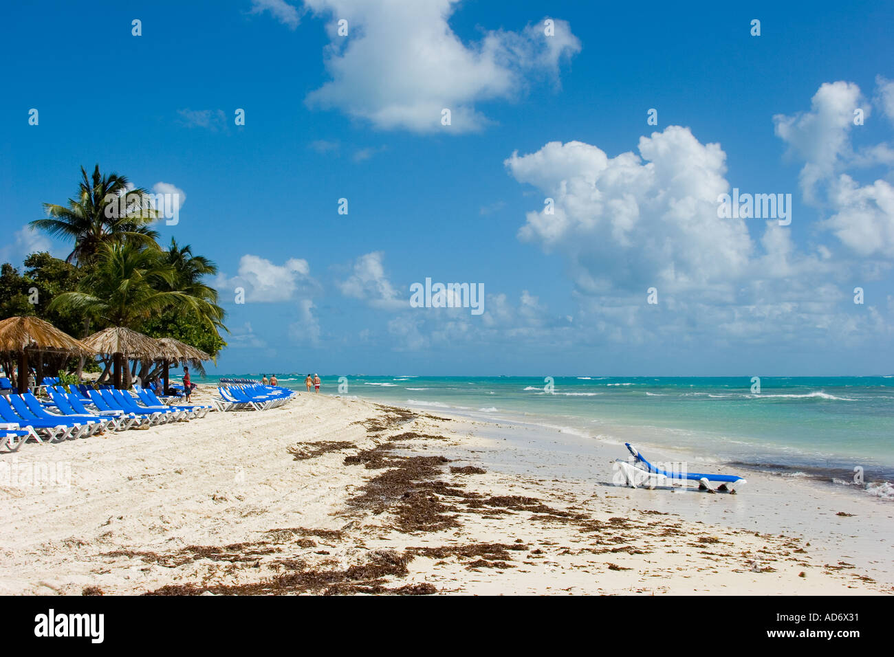 beach caribe puerto rico nice blue water white beach sand adventure ...