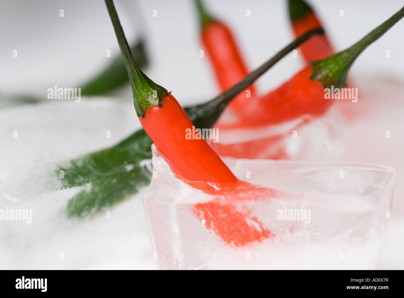 Image of Chilli pepper cooling down in a block of ice Stock Photo - Alamy