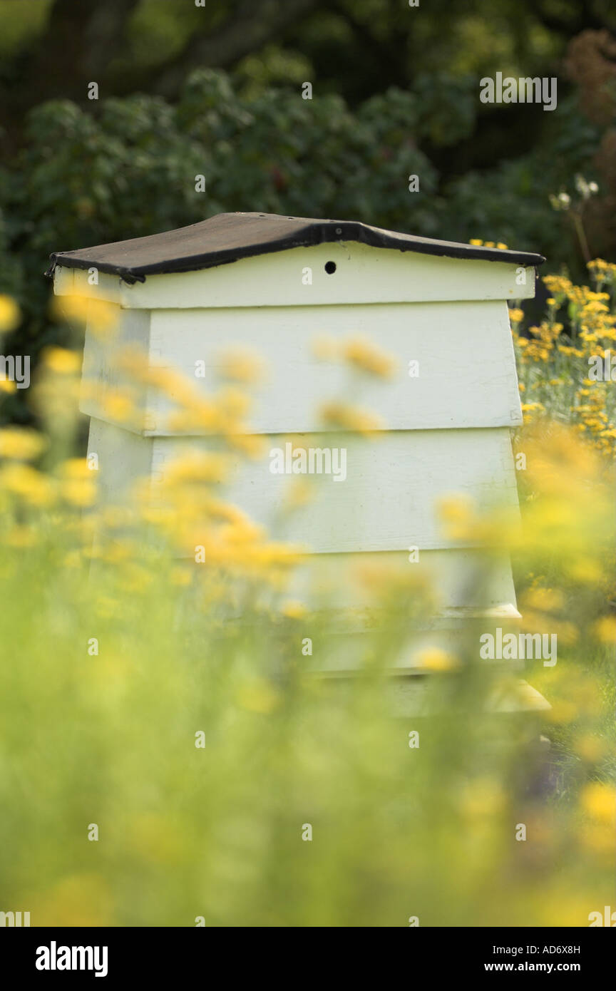 Beehive bees hi-res stock photography and images - Alamy