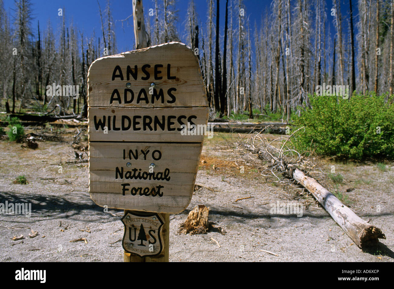 Trail sign for Wilderness boundary on trail to Rainbow Falls Ansel ...