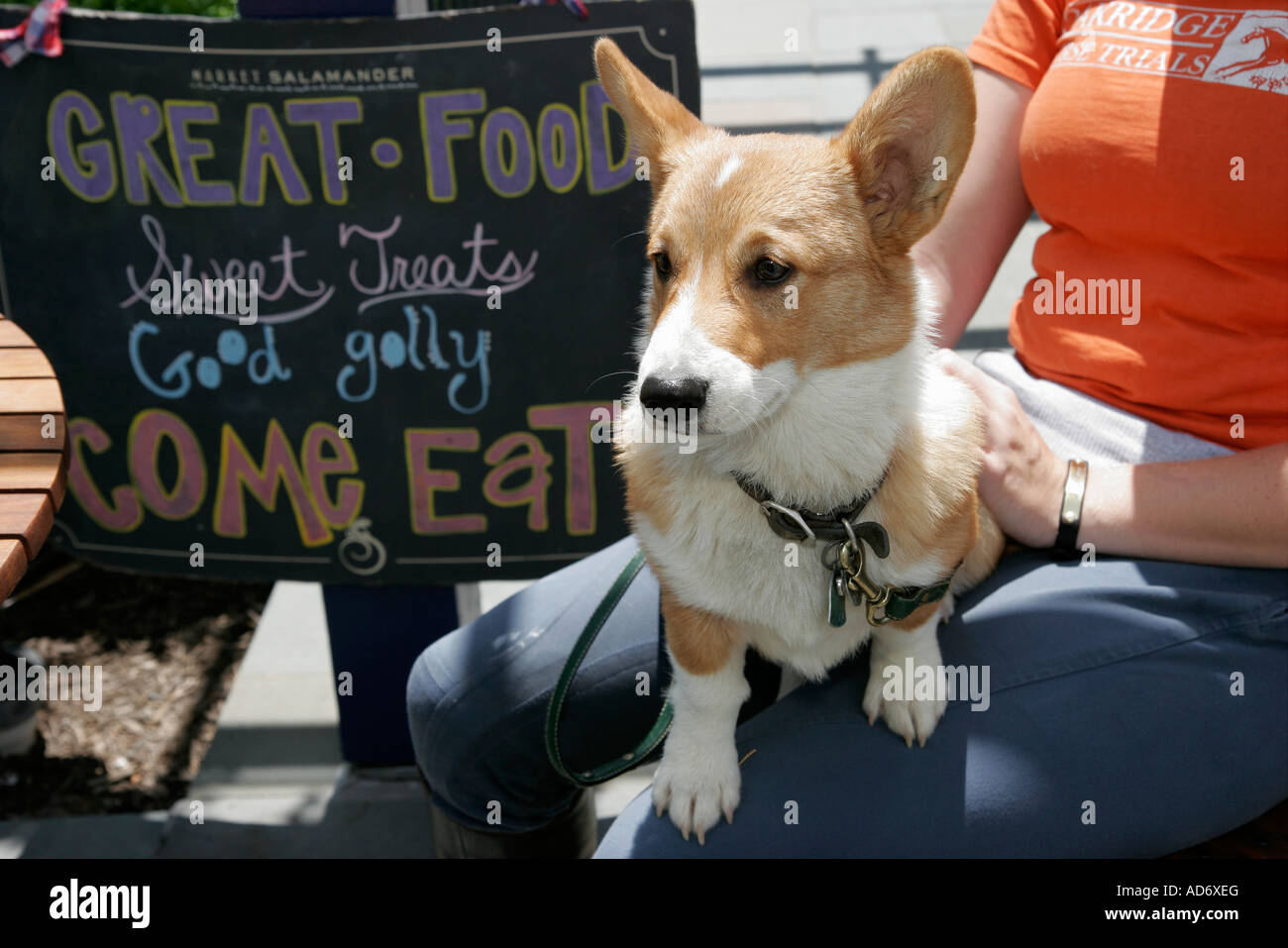 Middleburg Virginia,Loudoun County,Washington Street,Market Salamander ...