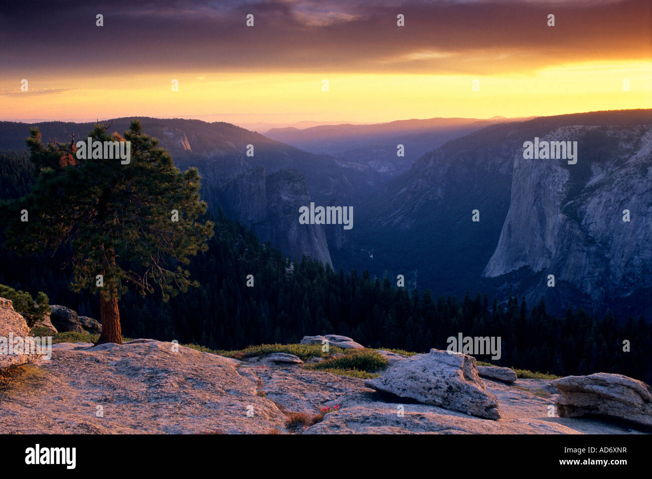 Looking west at sunset over Yosemite valley from atop Sentinel Dome ...