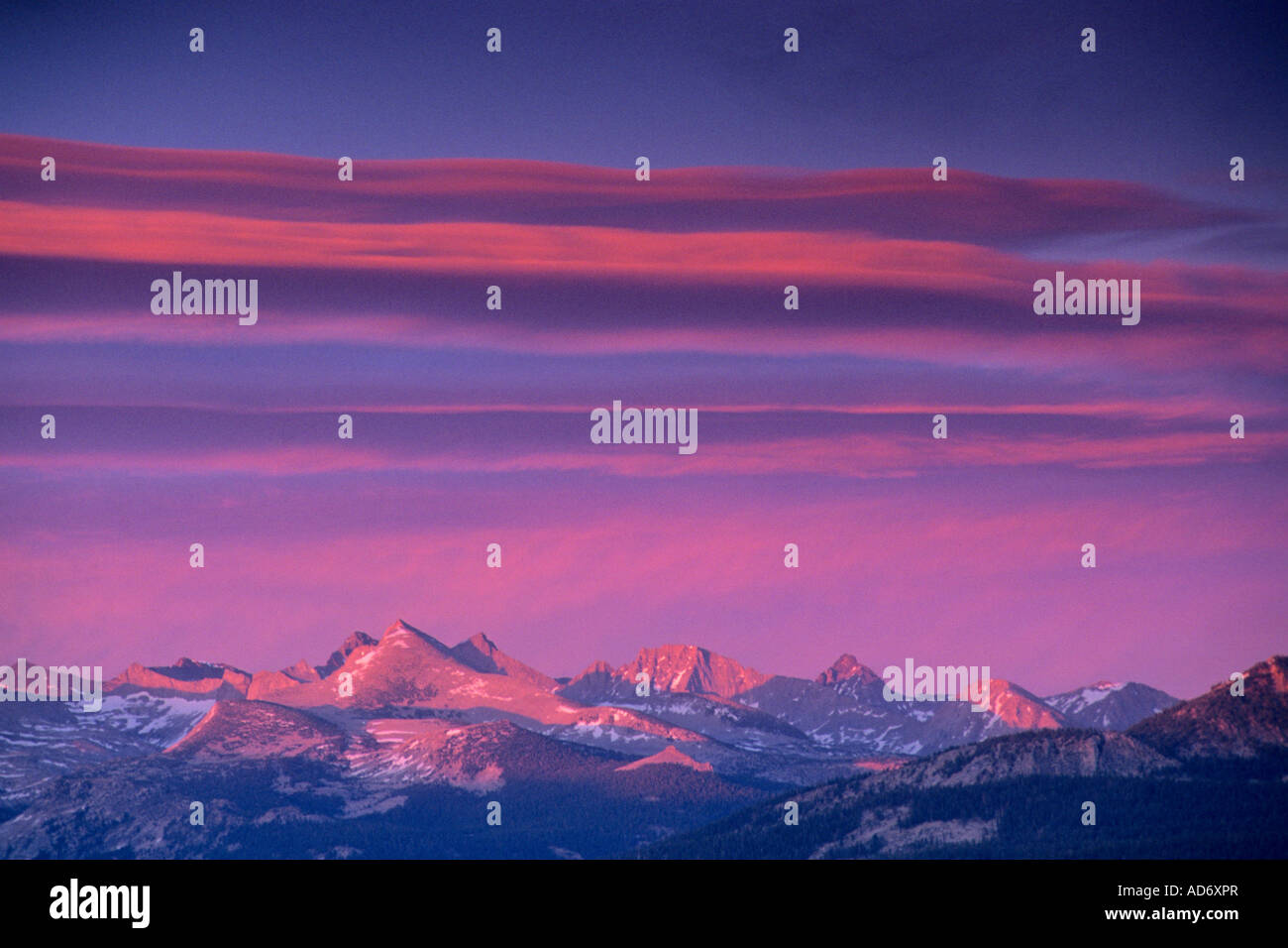 Alpenglow at sunset on clouds above the Sierra crest from atop Sentinel ...