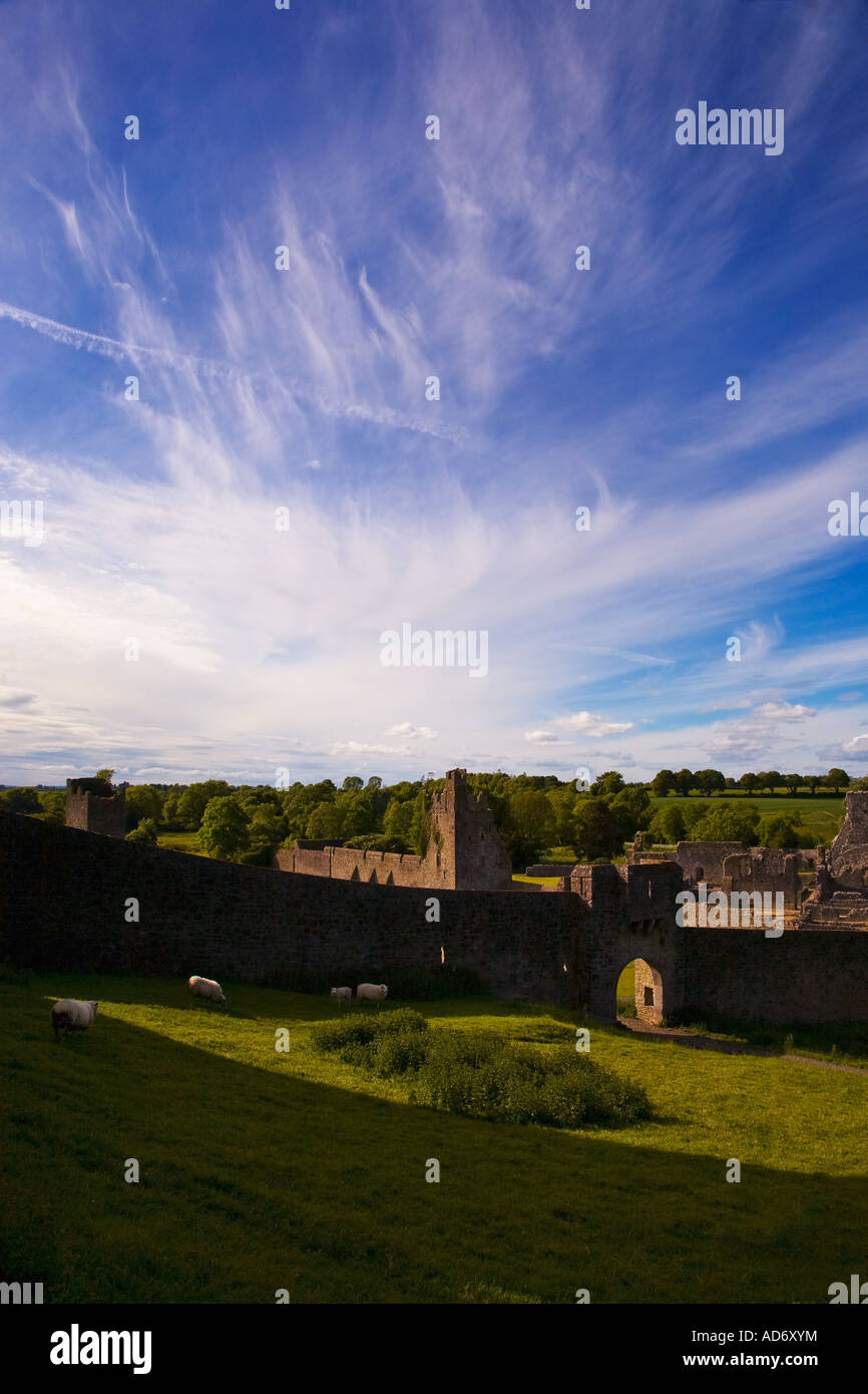 15th Century St Mary's Augustian Priory. Medieval tower houses along ...