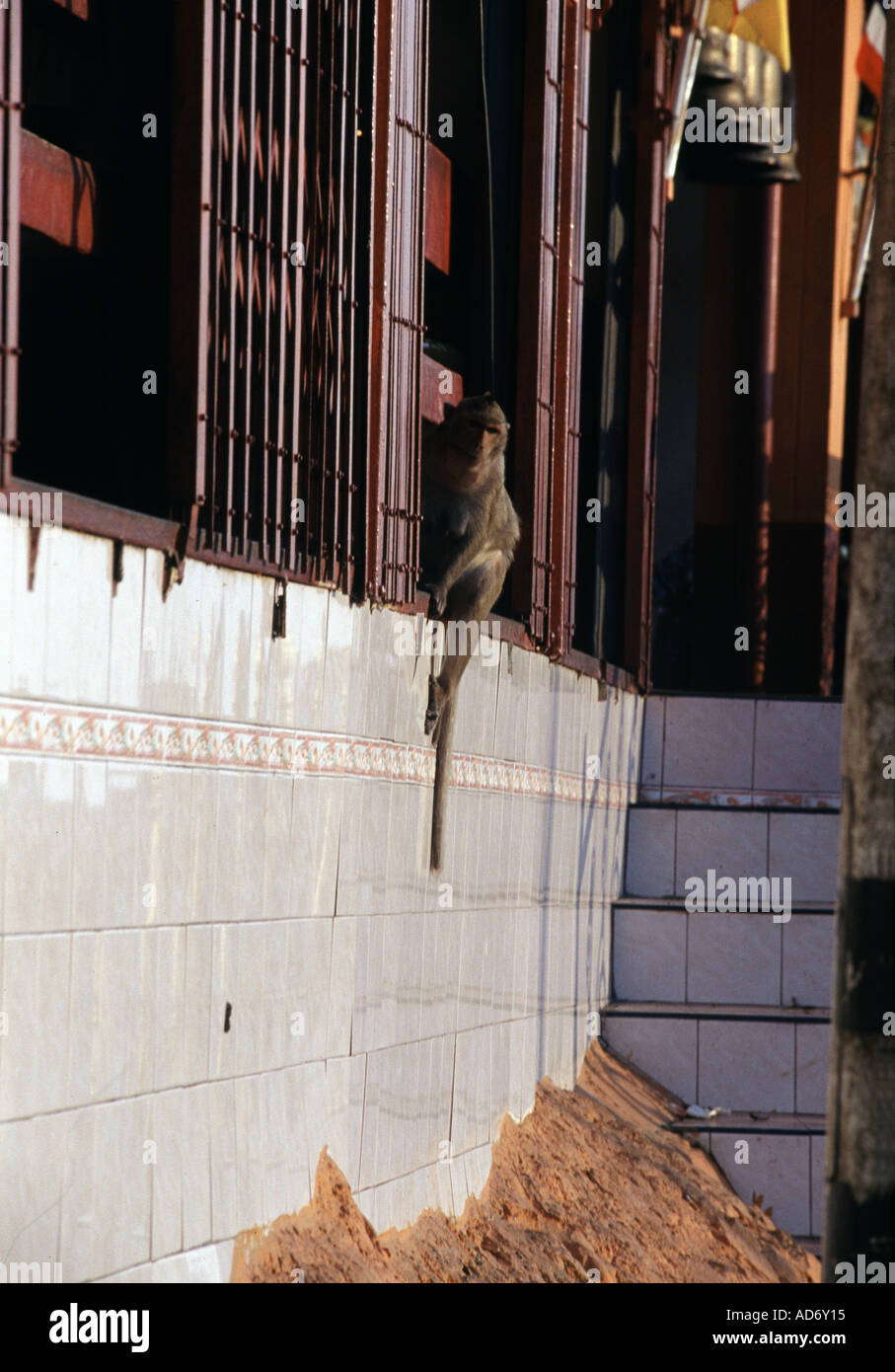 The monkey gate hi-res stock photography and images - Alamy