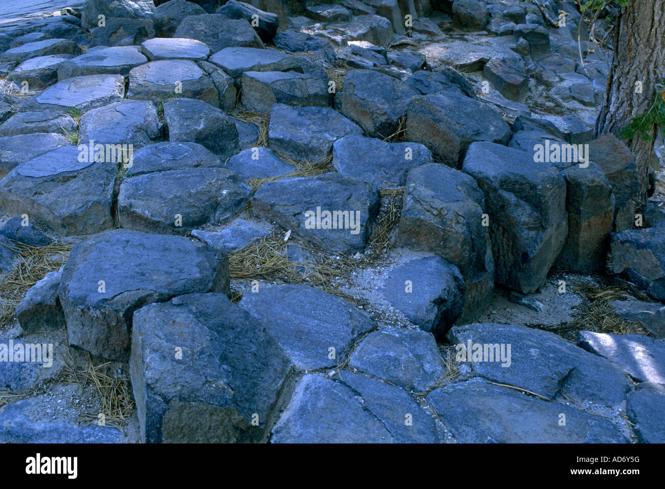 Glacier polished columnar Basalt Devils Postpile National Monument ...