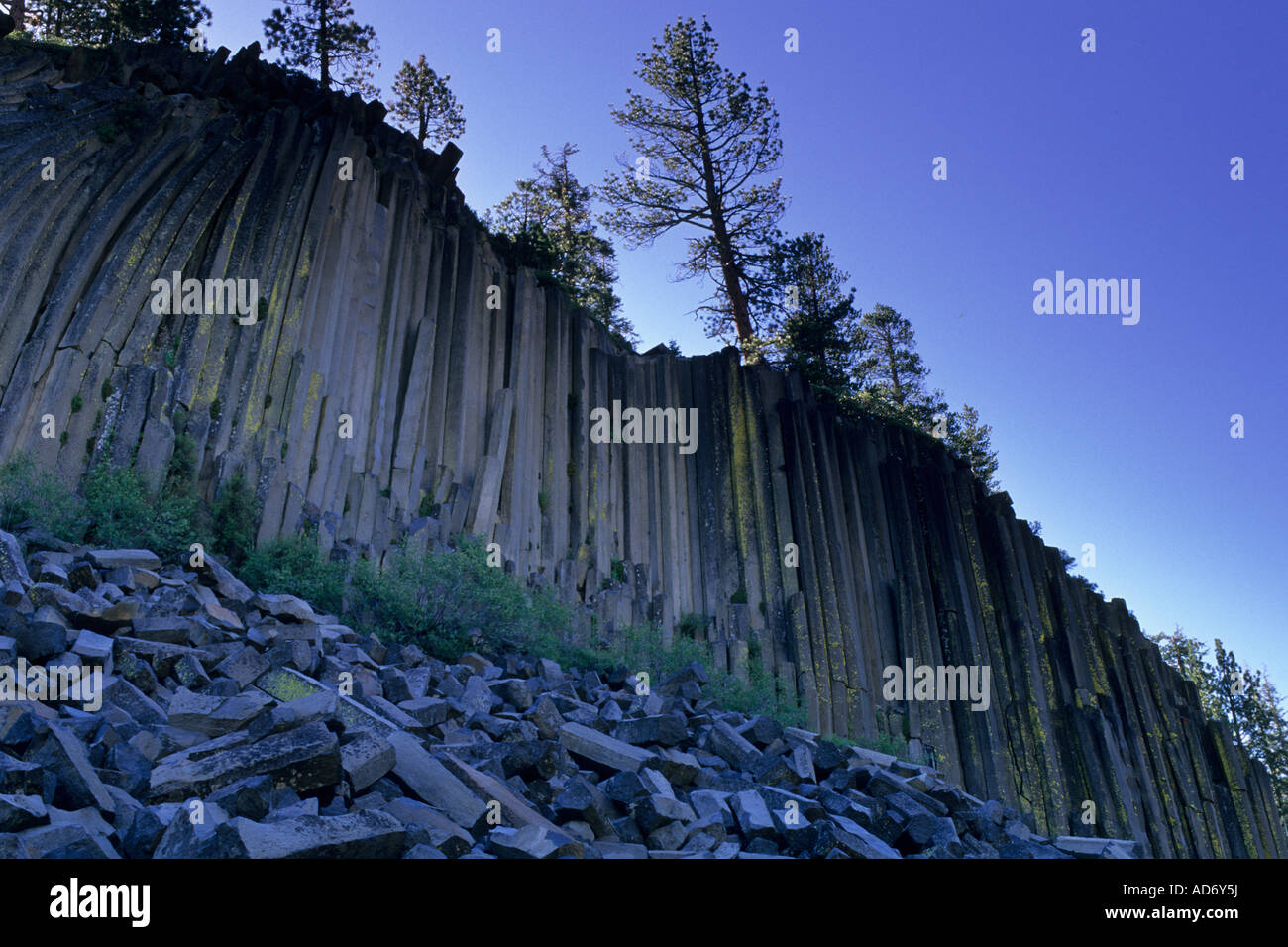 Columnar Basalt Devils Postpile National Monument Eastern Sierra ...