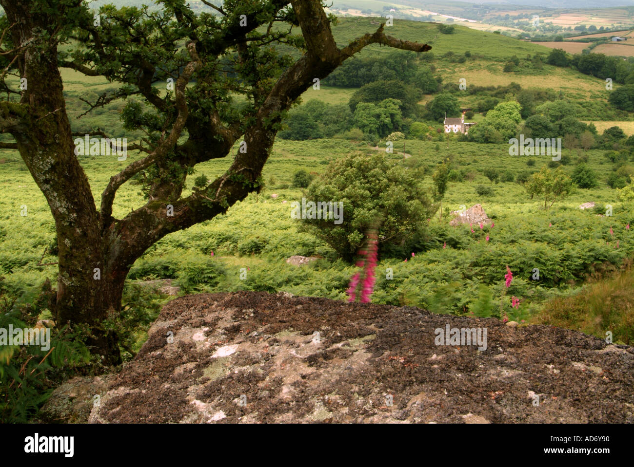 Isolated house in a moorland setting Manaton Dartmoor Devon UK Stock ...
