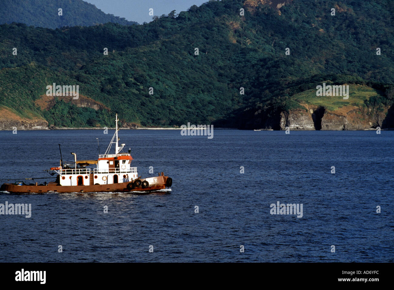 Virgin forest philippines hi-res stock photography and images - Alamy