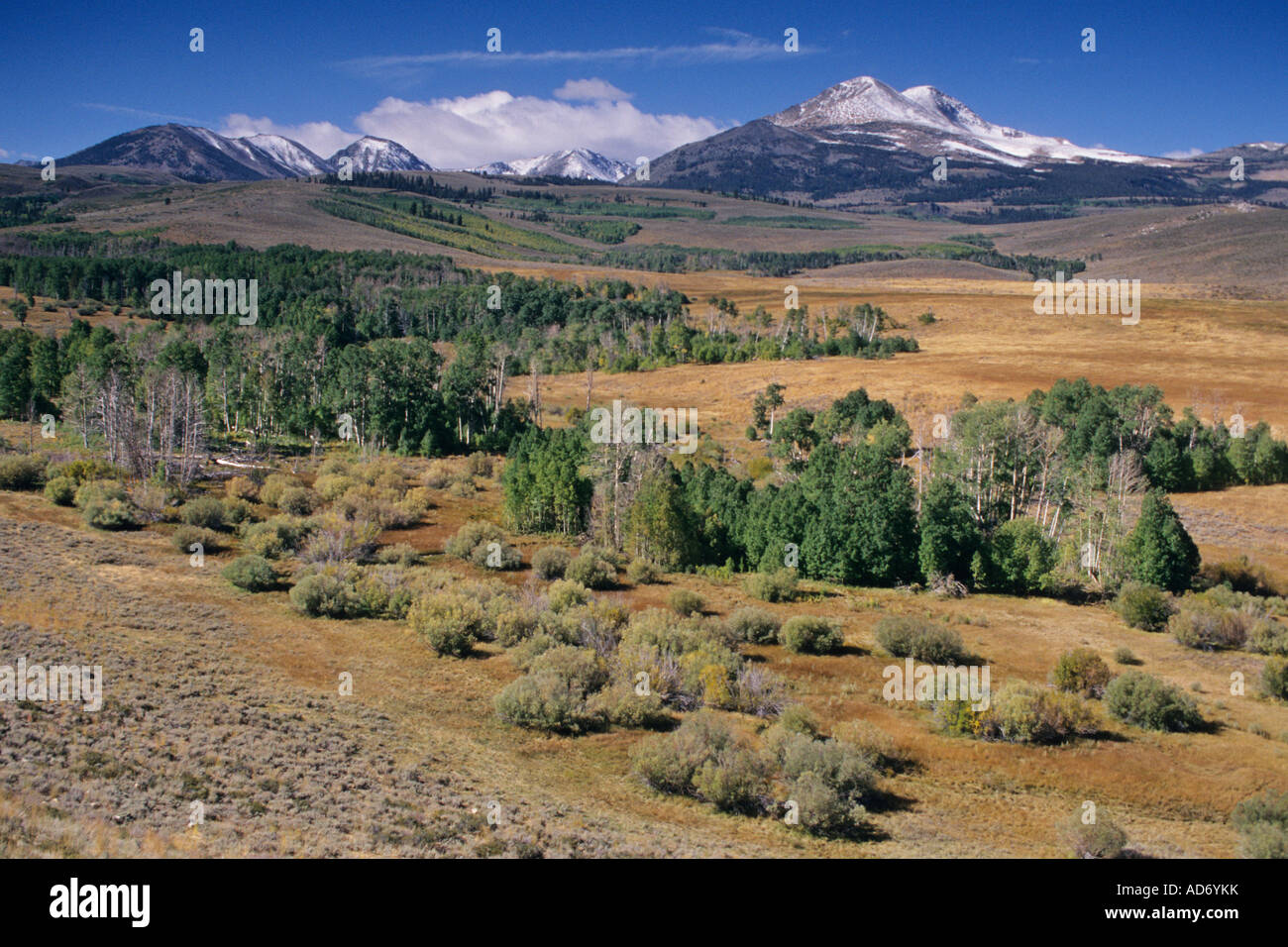 Dunderberg Peak from Conway Summit near Lee Vining Eastern Sierra ...