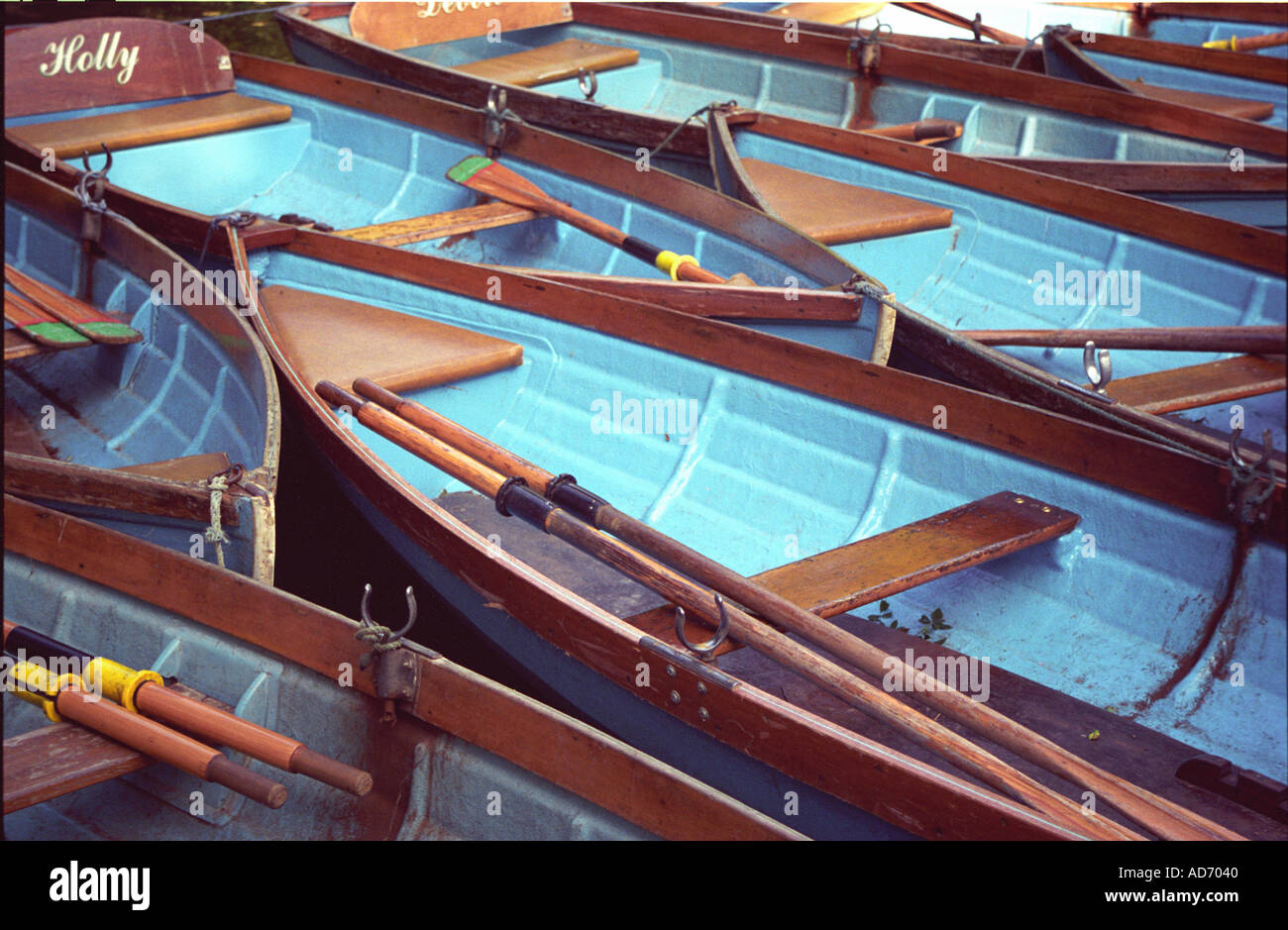 The rowing hi-res stock photography and images - Alamy