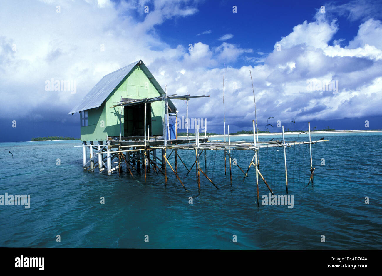 FRENCH POLYNESIA TUAMOTUS ARCHIPELAGO BLACK PEARLS FARM ON THE TIKEHAU ...