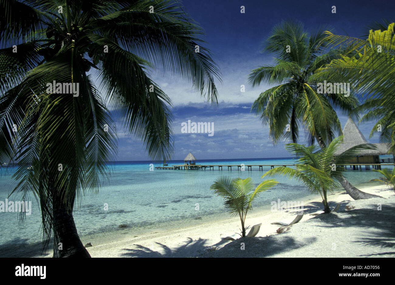 FRENCH POLYNESIA TUAMOTUS ARCHIPELAGO Stock Photo - Alamy