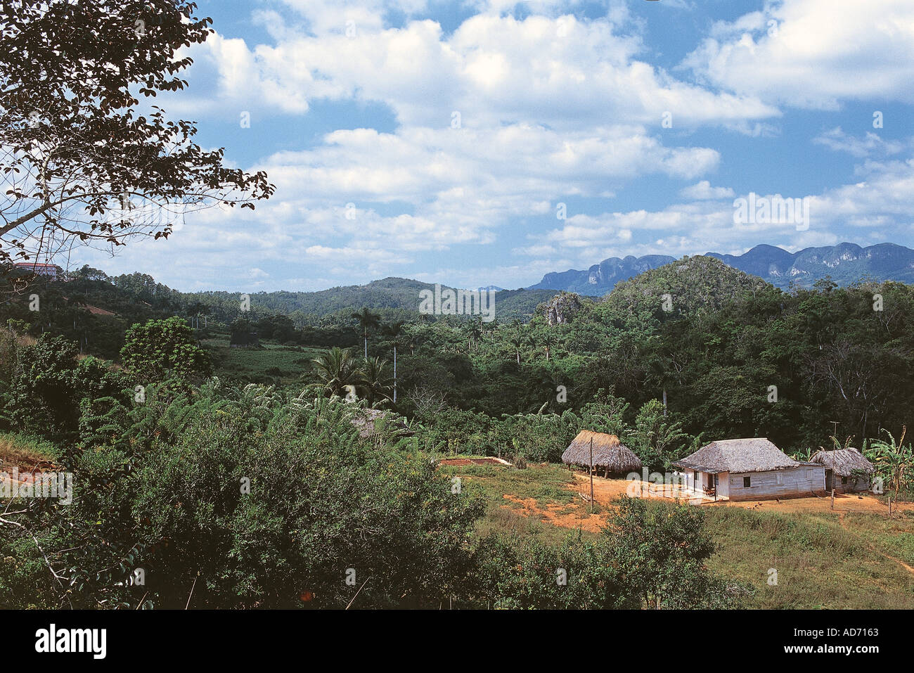 Guajiro hi-res stock photography and images - Alamy