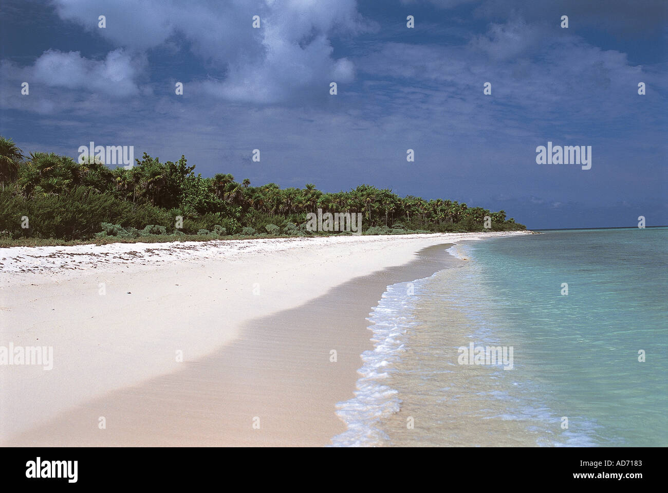Beach midday hi-res stock photography and images - Alamy