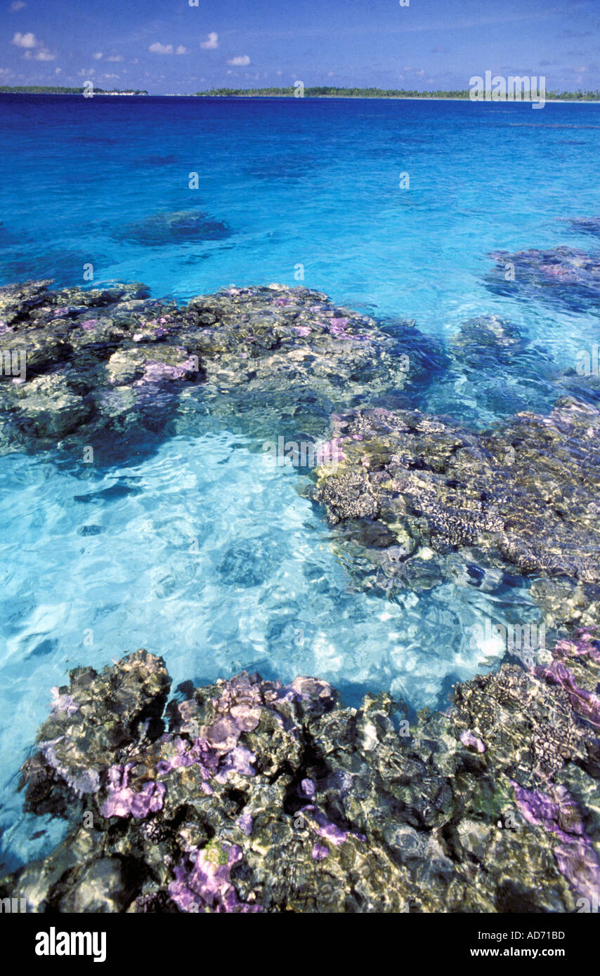 FRENCH POLYNESIA TUAMOTU ARCHIPELAGO Stock Photo - Alamy