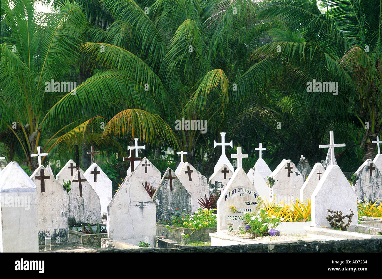 FRENCH POLYNESIA TUAMOTU ARCHIPELAGO RANGIROA ATOLL TIPUTA CEMETERY ...