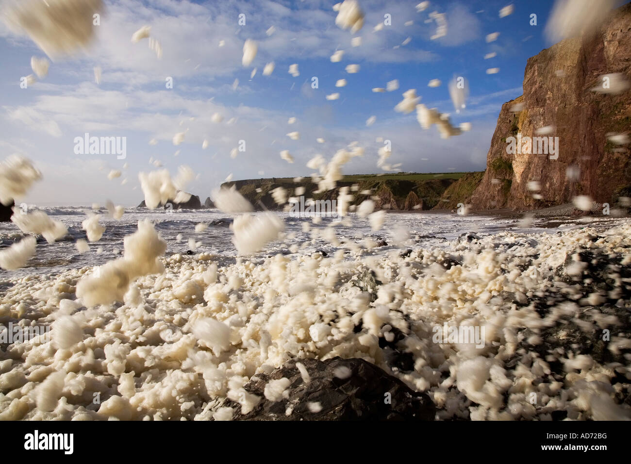 Windswept Frothy Foam on Ballydowane Beach, Copper Coast, County ...