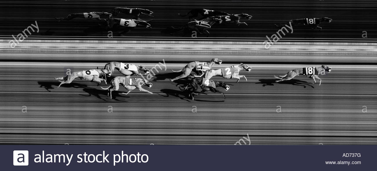 Action Finish High Resolution Stock Photography and Images - Alamy