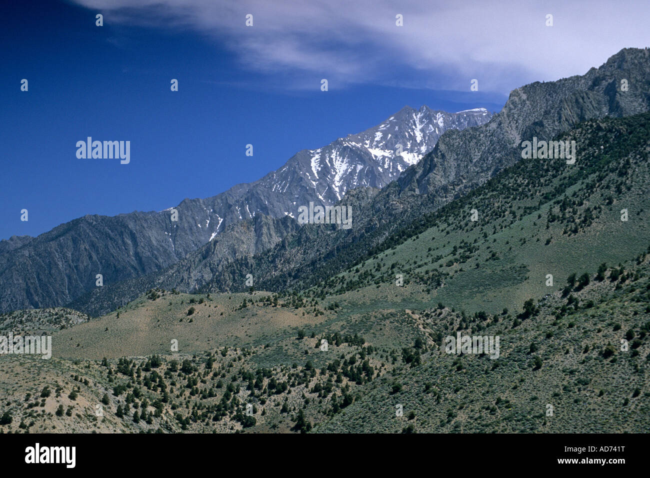 Eastern flank of the High Sierra rises out of the Owens Valley near ...