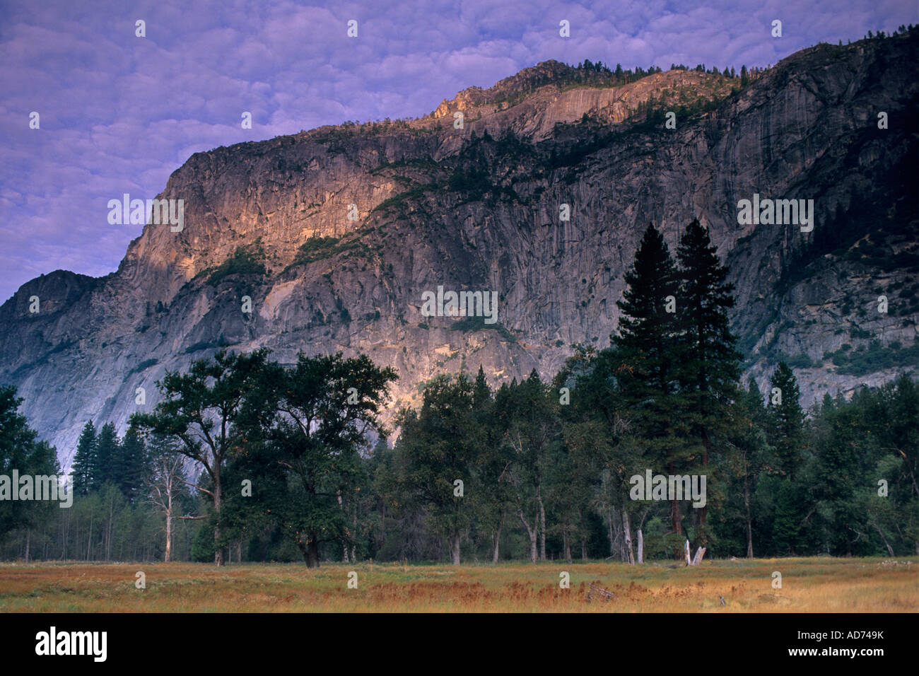Morning clouds over the rim of Yosemite Valley Yosemite National Park ...