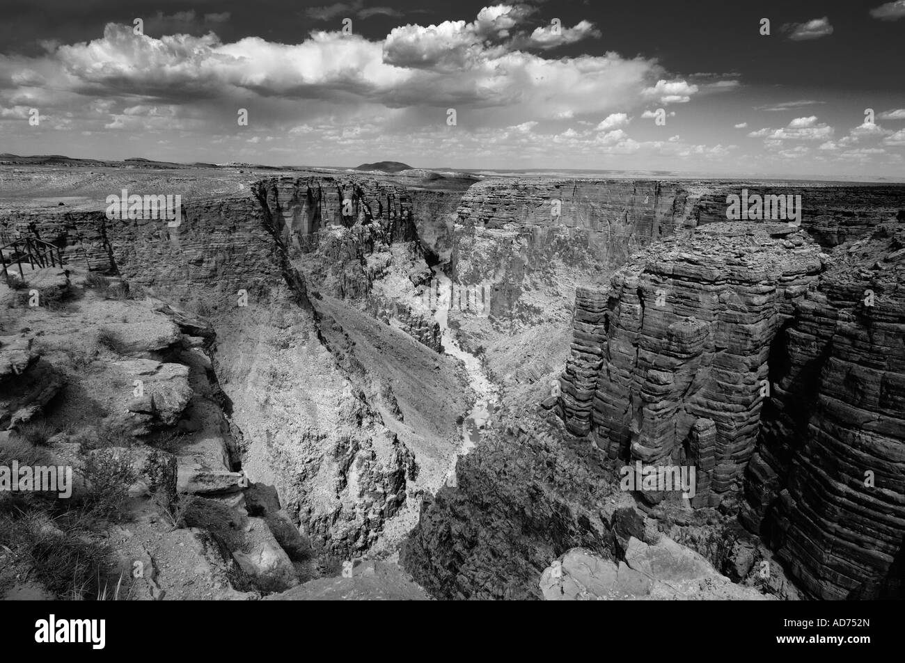 Looking grand canyon from Black and White Stock Photos & Images - Alamy