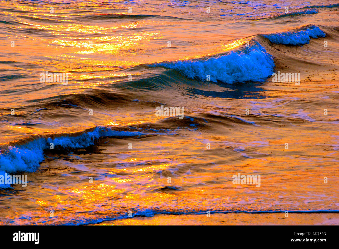 sunset reflected on sea waves beach florida usa Stock Photo - Alamy