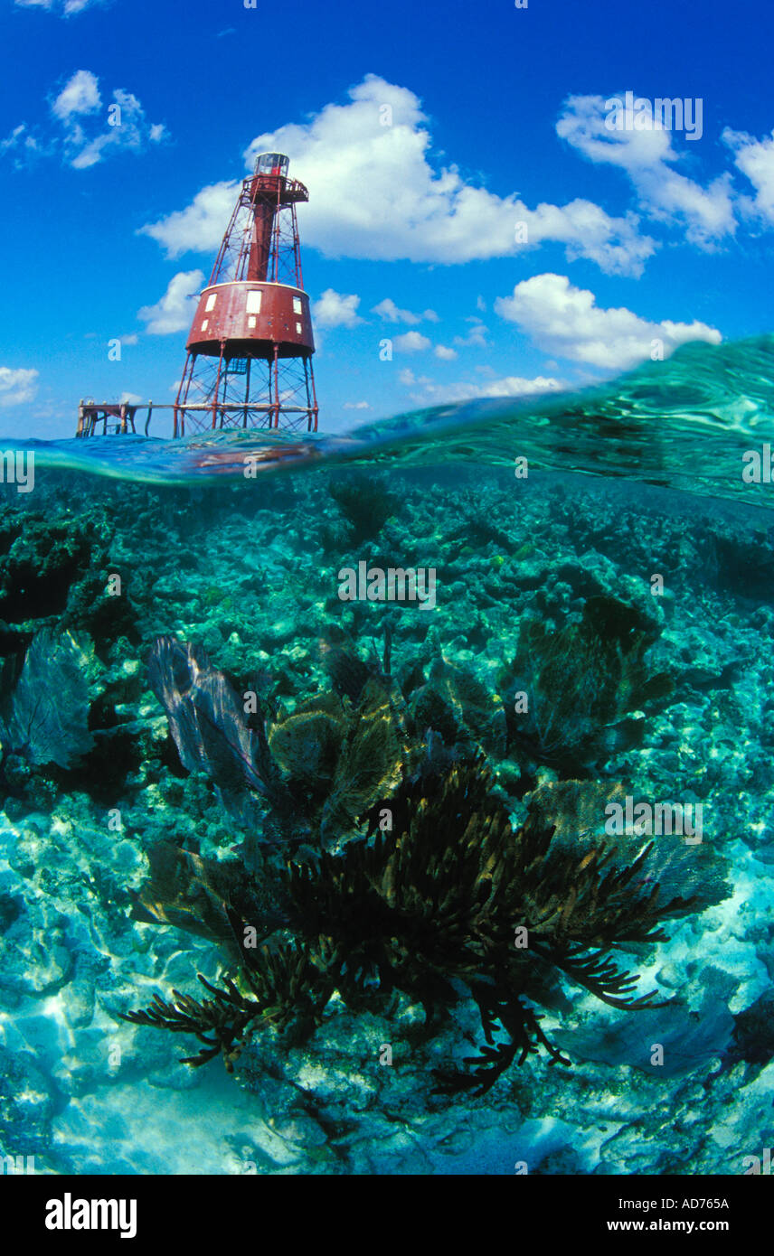 Carysfort reef lighthouse florida hi-res stock photography and images ...
