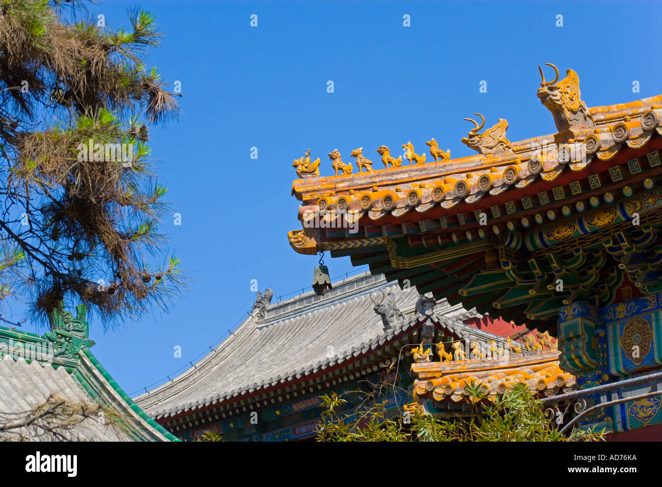 Lama temple eternal harmony hi-res stock photography and images - Alamy