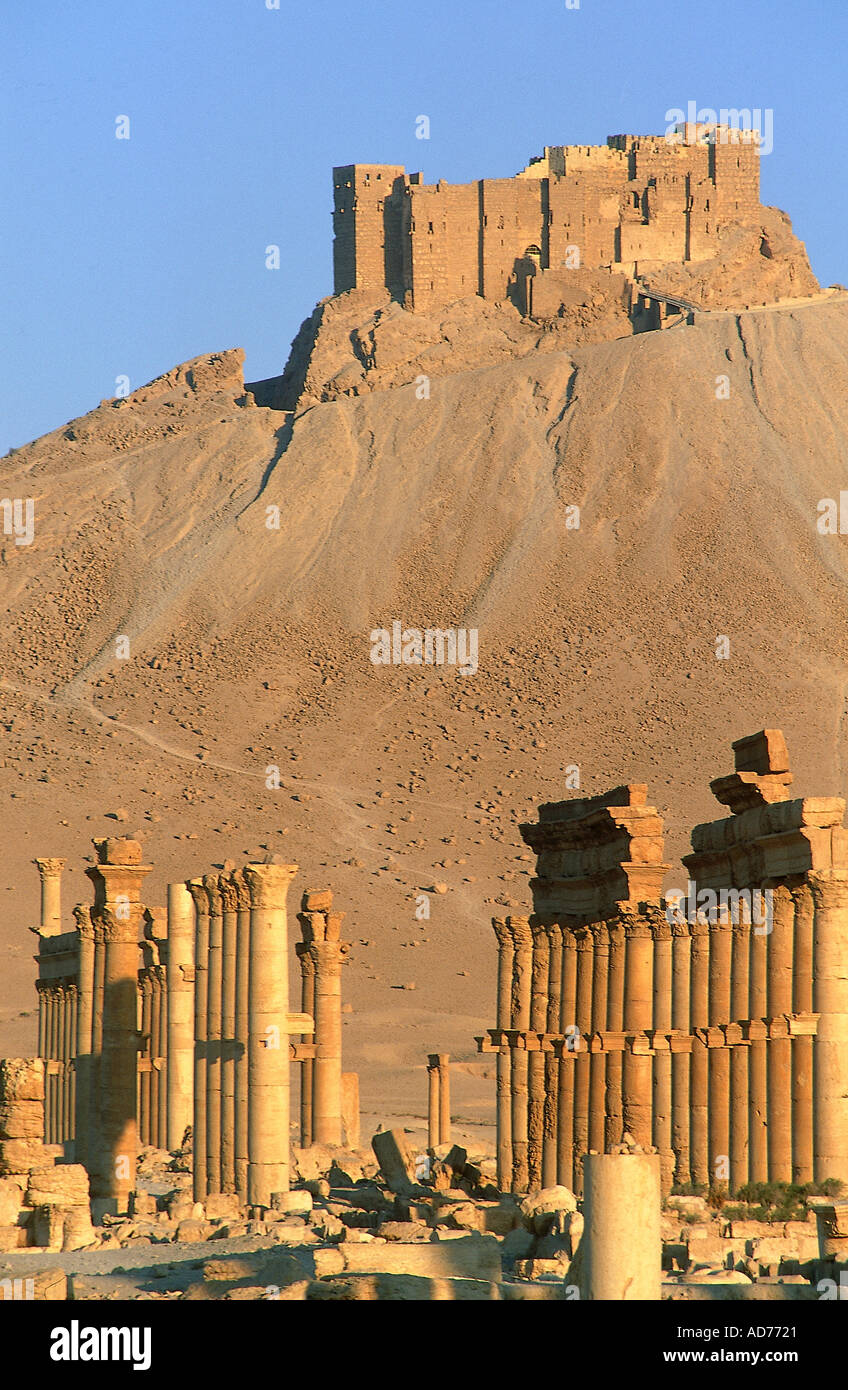 SYRIA WEST DESERT RUINS OF PALMYRA COLUMNADES ARAB CASTLE QALAAT IBN ...