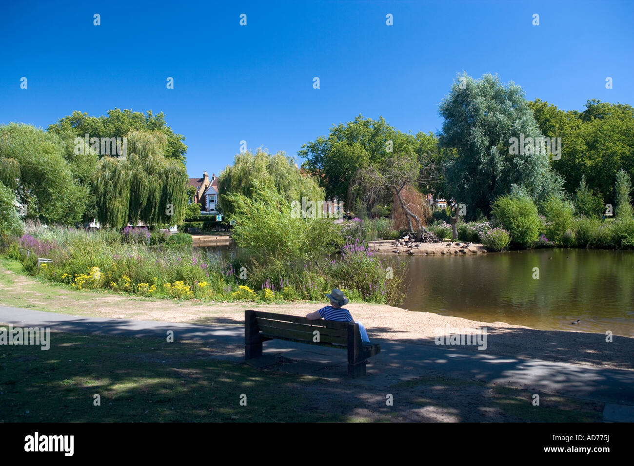Barnes village pond, barnes hi-res stock photography and images - Alamy