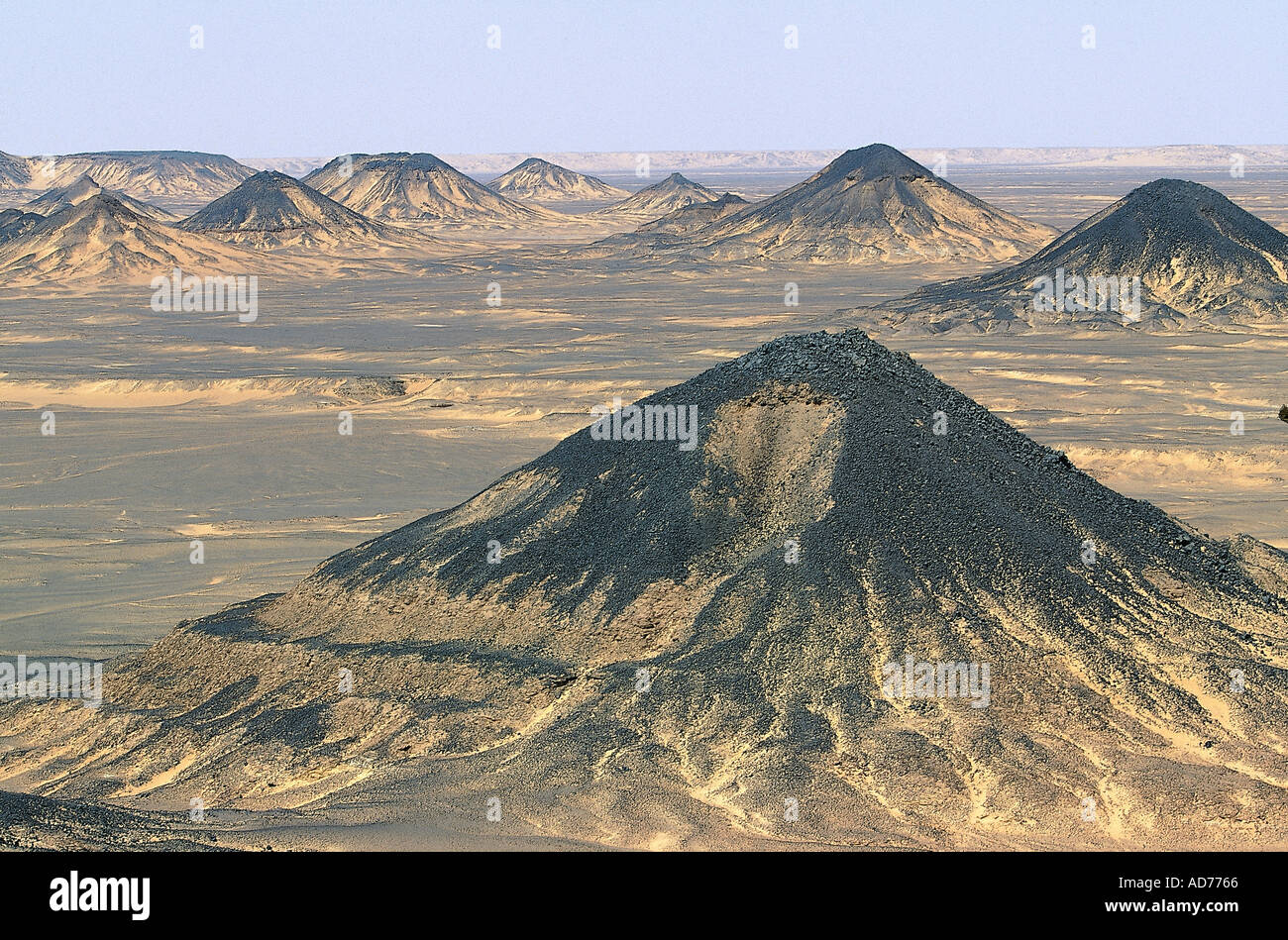 Baharioasis hi-res stock photography and images - Alamy