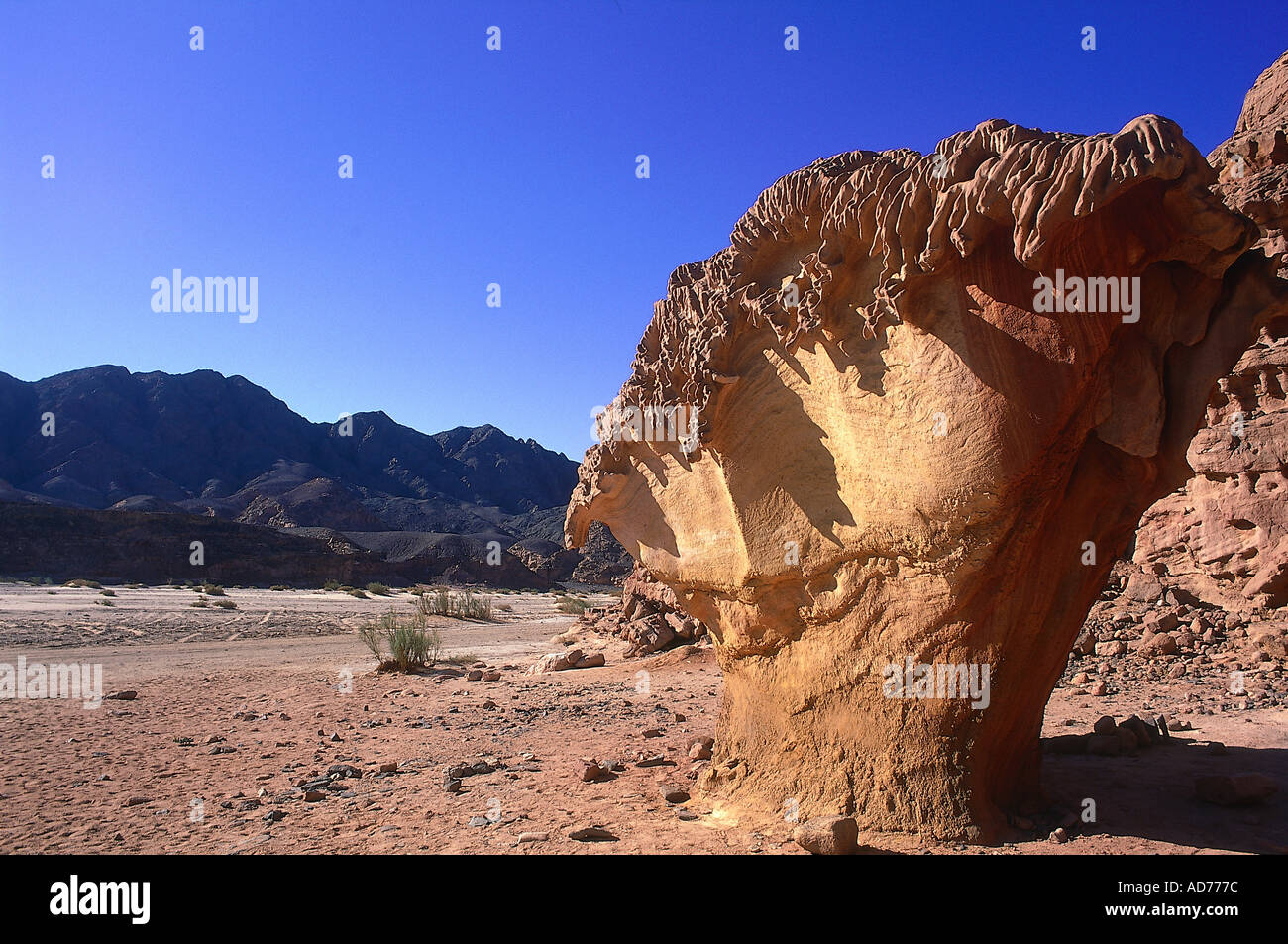 EGYPT SINAI DESERT ROCK SCULPTED BY EROSION Stock Photo - Alamy