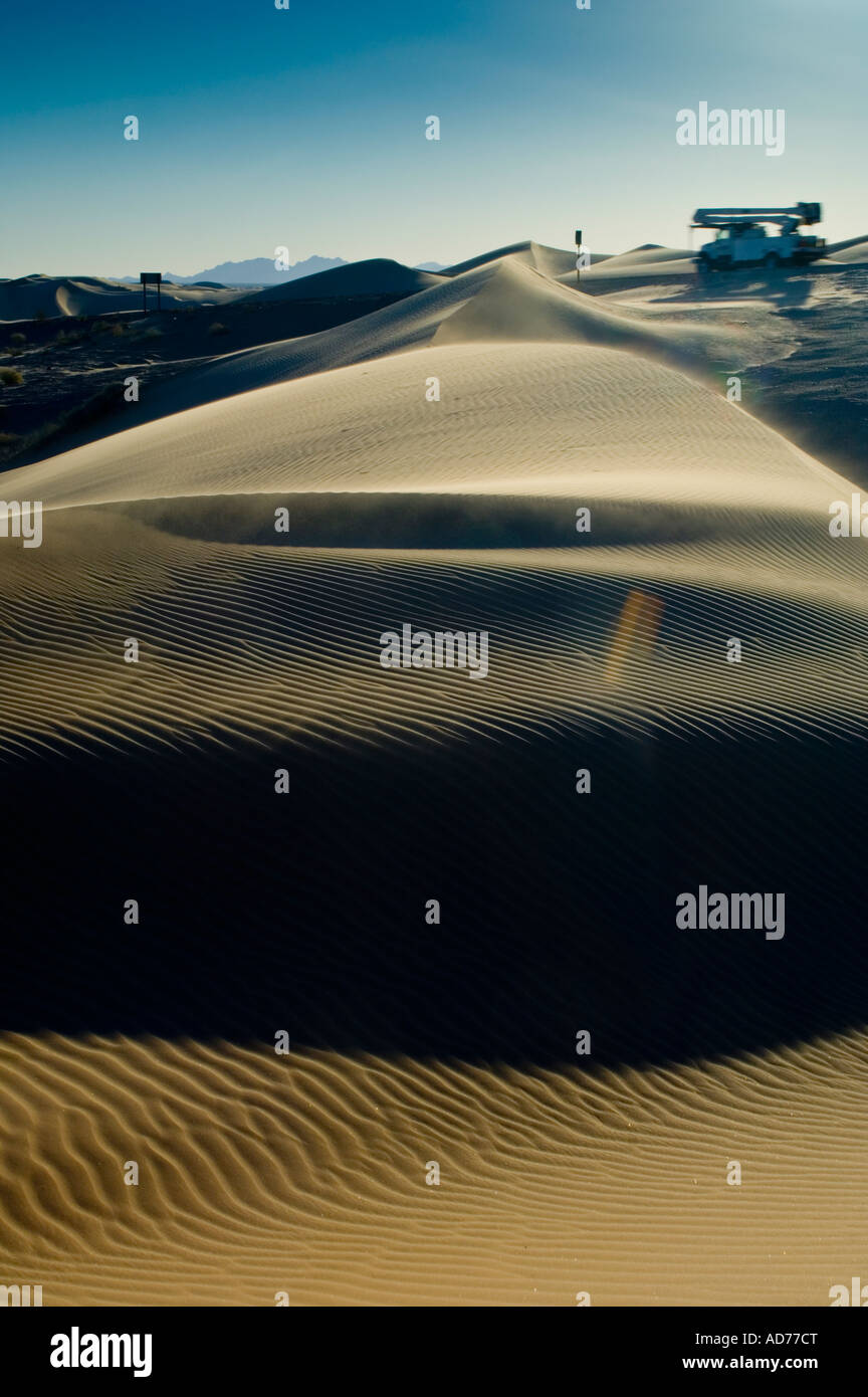 Sand dunes in morning light North Algodones Dunes Wilderness Imperial ...