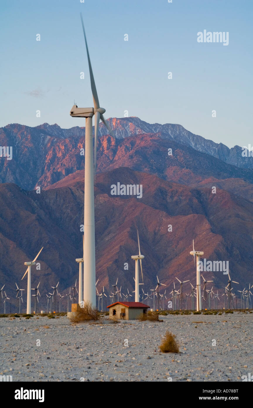Array of windmills at wind farm at dawn below the San Jacinto Mountains ...