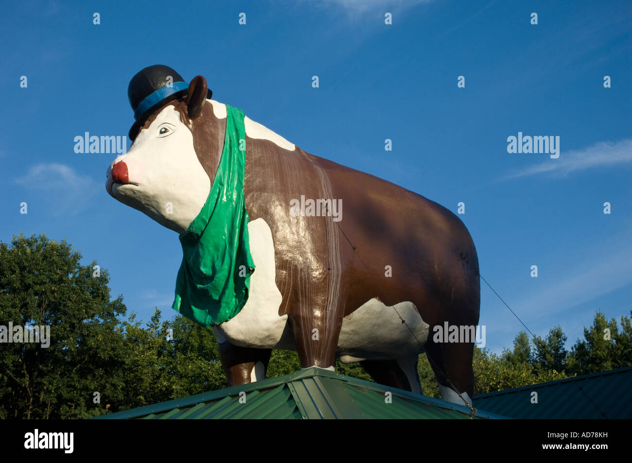 Golden steer restaurant hi-res stock photography and images - Alamy