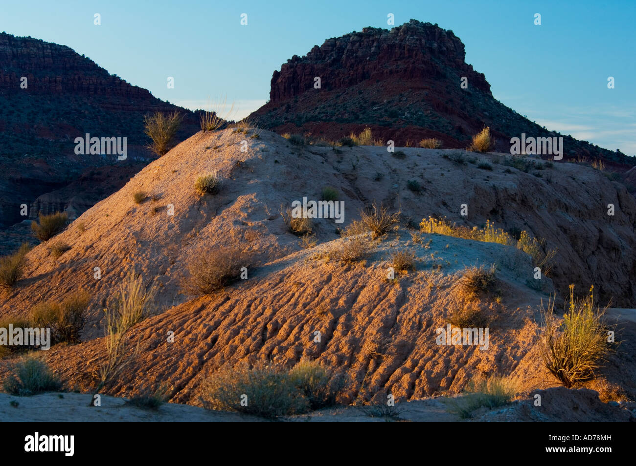 Sunset light on eroded hills and buttes along the Cockscomb Grand ...