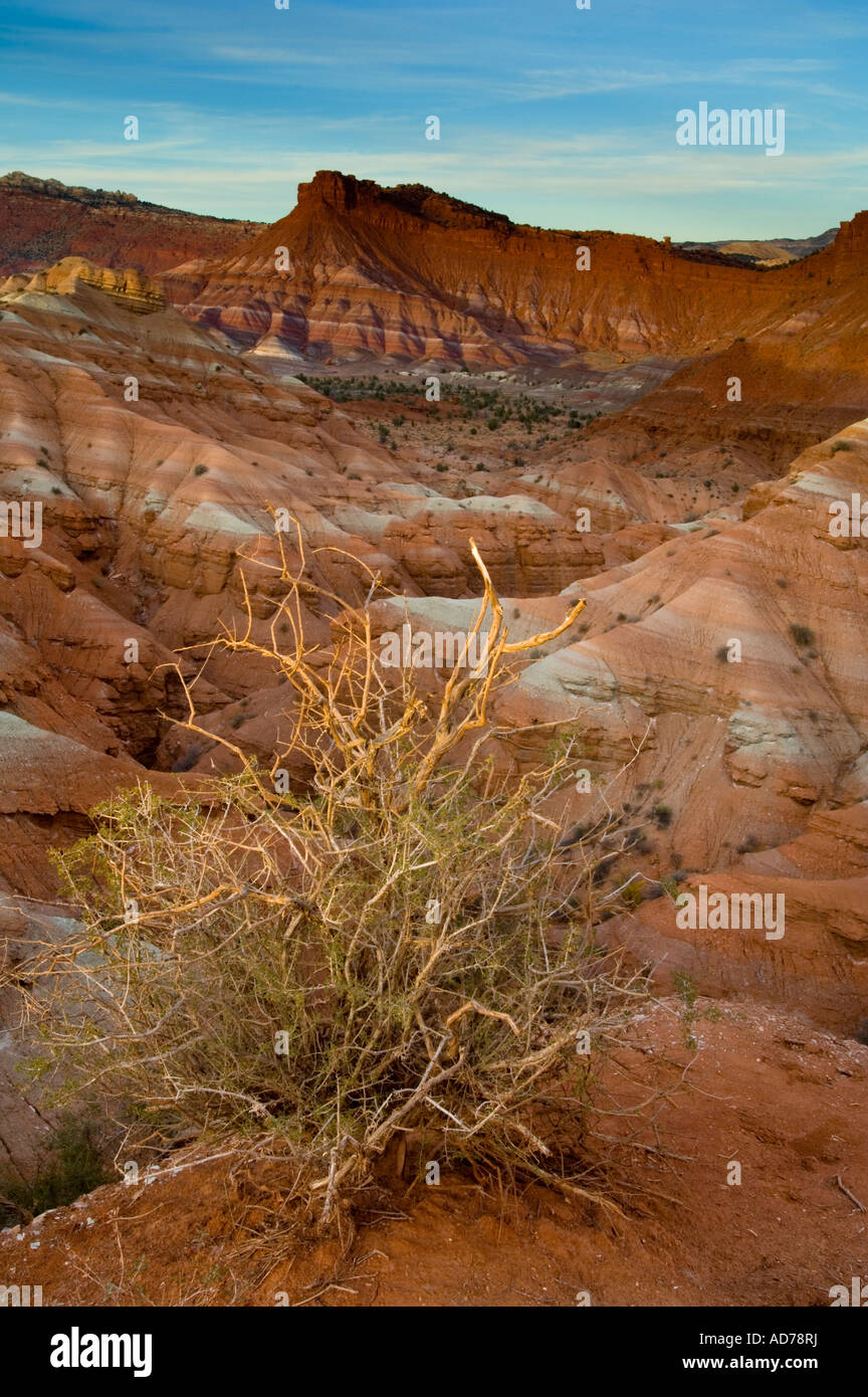 Sunset light on eroded hills and buttes along the Cockscomb Grand ...