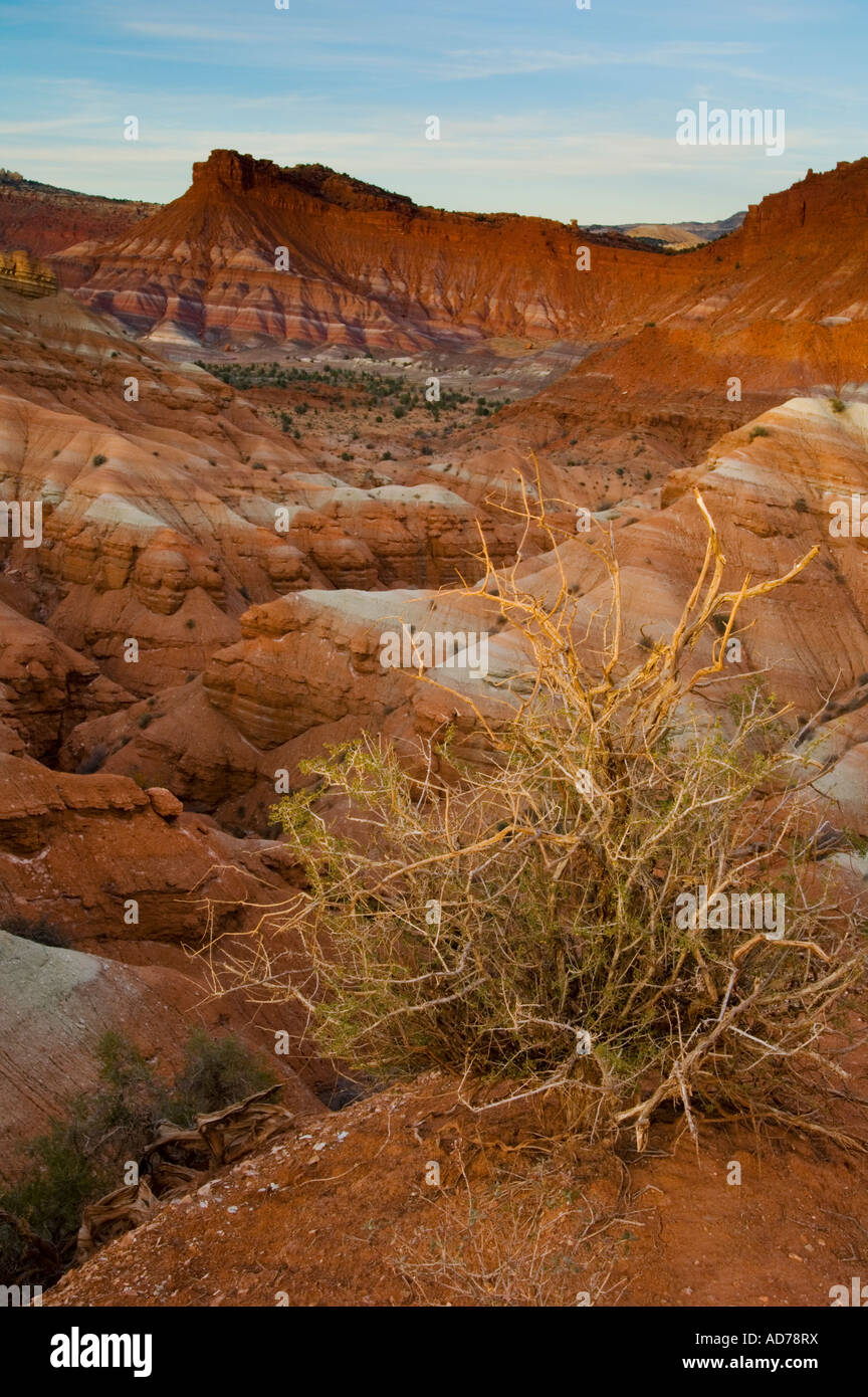 Sunset light on eroded hills and buttes along the Cockscomb Grand ...